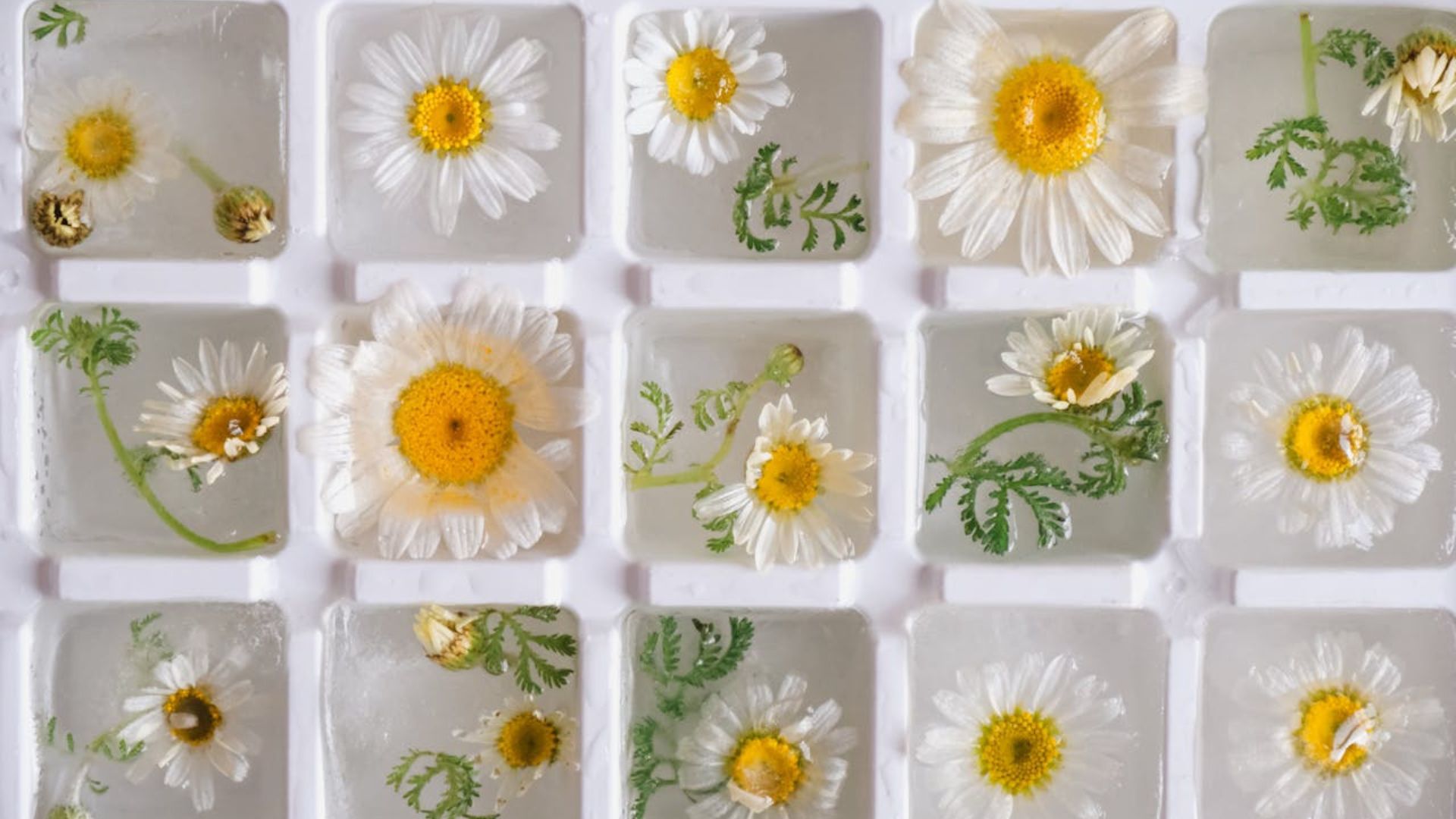 Love Your Age: Ways To Accept And Enjoy Getting Older - TheZenParent