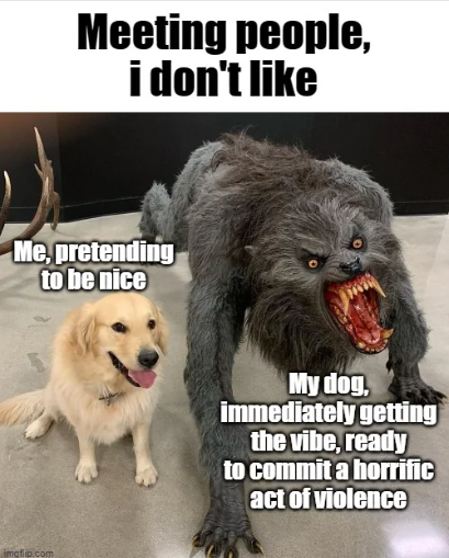 Dogs Meme That Will Make You Laugh - TheZenParent