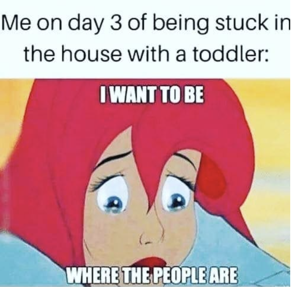 40 Memes That Show What It's like to Have a Toddler - TheZenParent